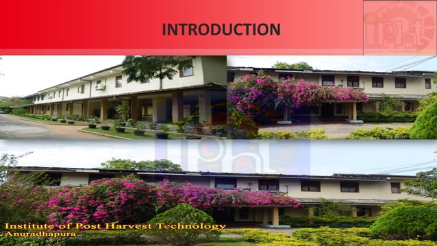IPHT industrial training final presentation | PPT | Free Download