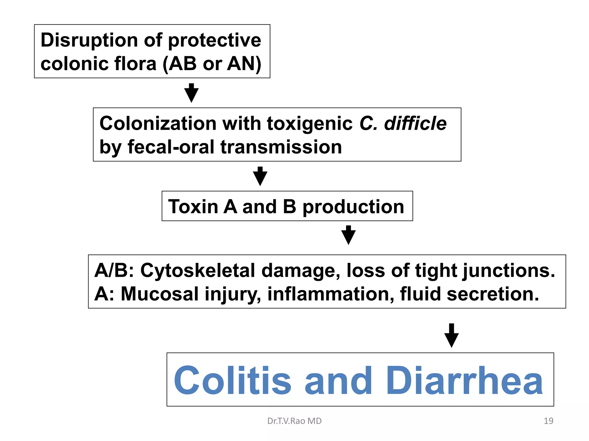 Clostridium difficile by Dr.T.V.Rao MD | PPTX