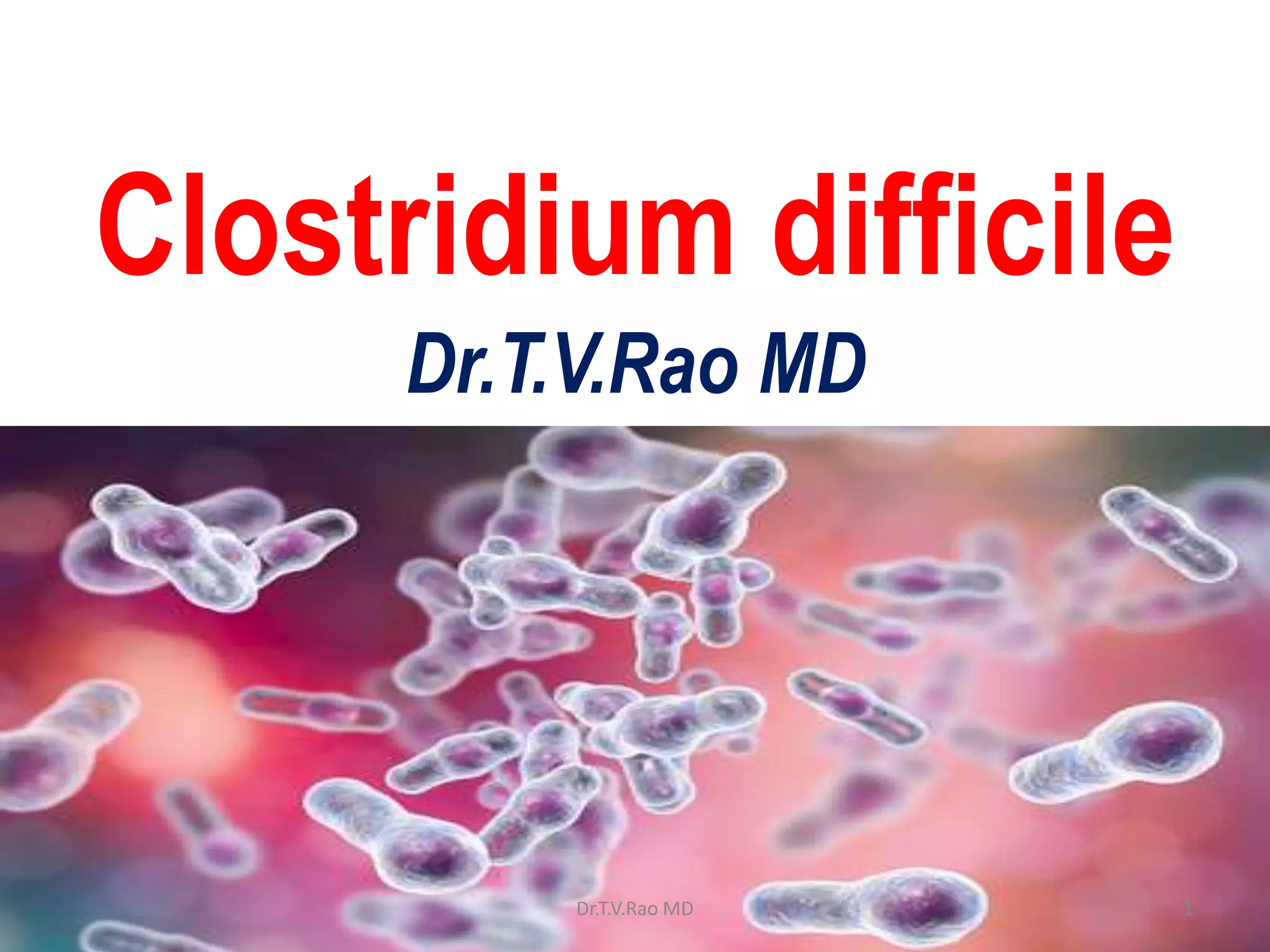 C.difficile: Causes, Symptoms, Treatment | PPT