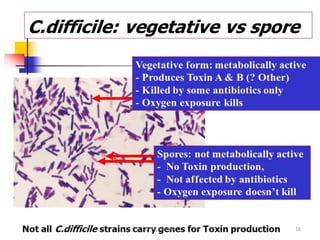 Clostridium Difficile Spores