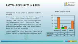 C.L.Chowdhary_Community Based Rattan Management and Marketing in Nepal ...