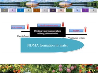 NDMA & Ranitidine, Potentail Lesson & Liability | PDF