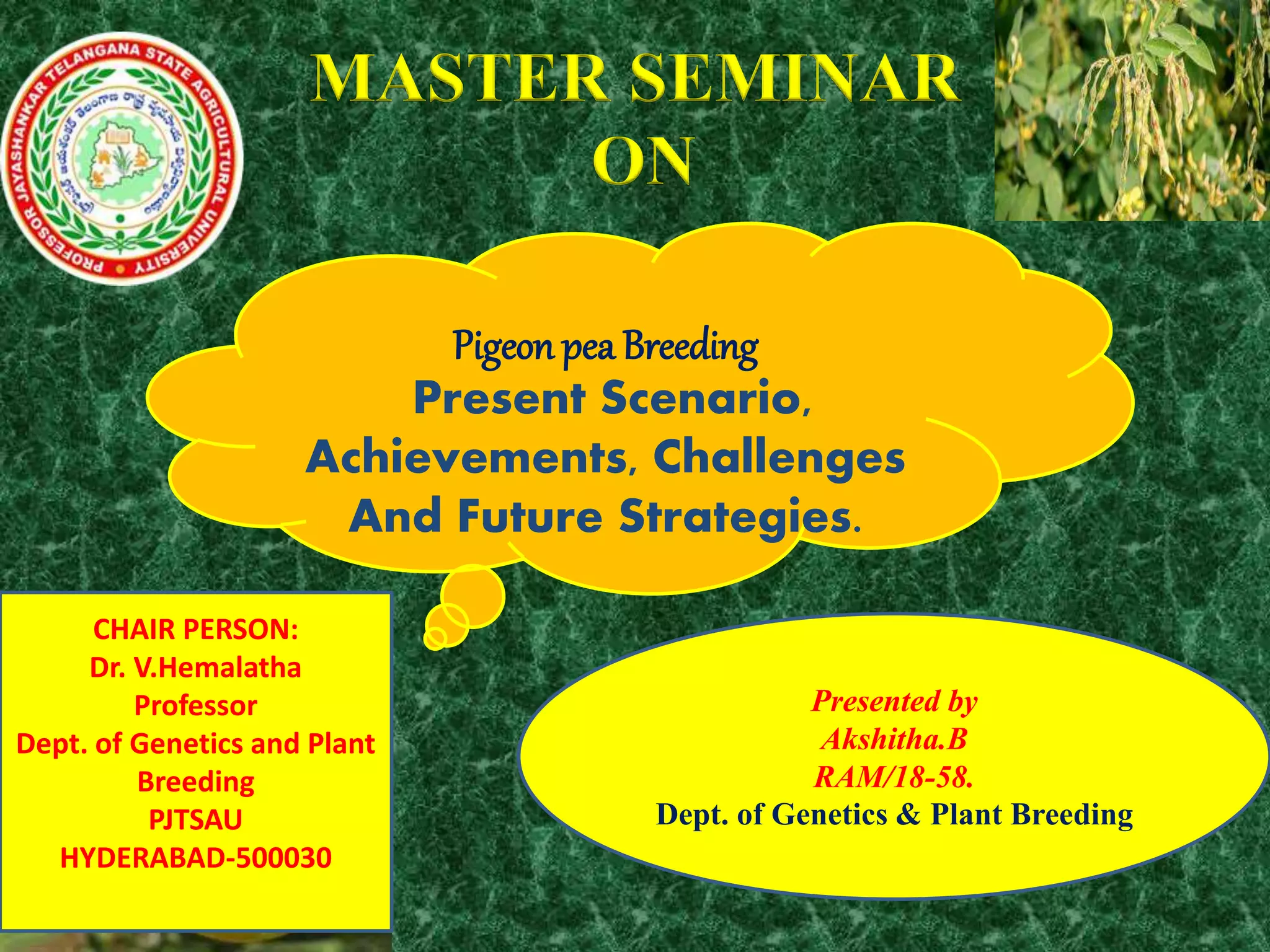 PIGEON PEA BREEDING- MASTER SEMINAR | PPTX
