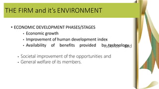 C-2-The-Firm-and-Its-Environment-Organization-and-Managemernt.pptx