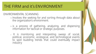 C-2-The-Firm-and-Its-Environment-Organization-and-Managemernt.pptx