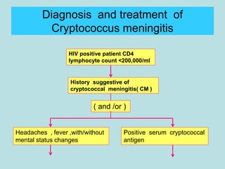 Cryptococcosis | PPT