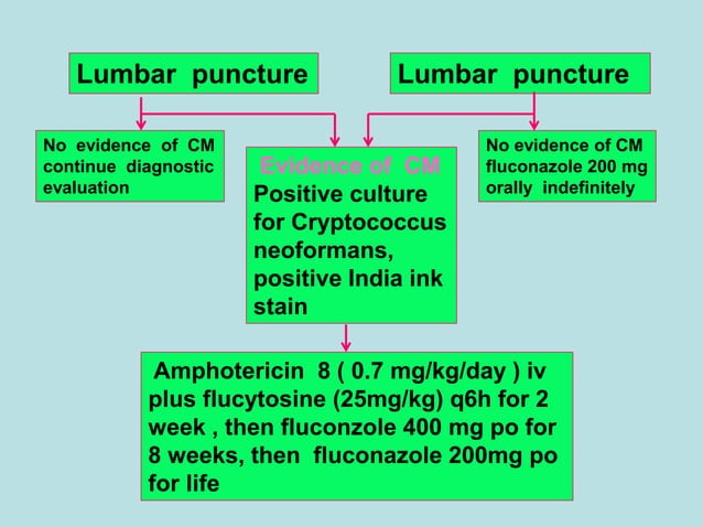 Cryptococcosis | PPT | Infectious Diseases | Diseases and Conditions
