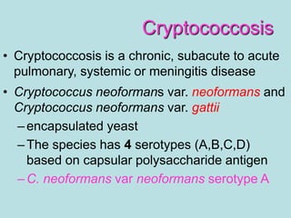 Cryptococcosis | PPT