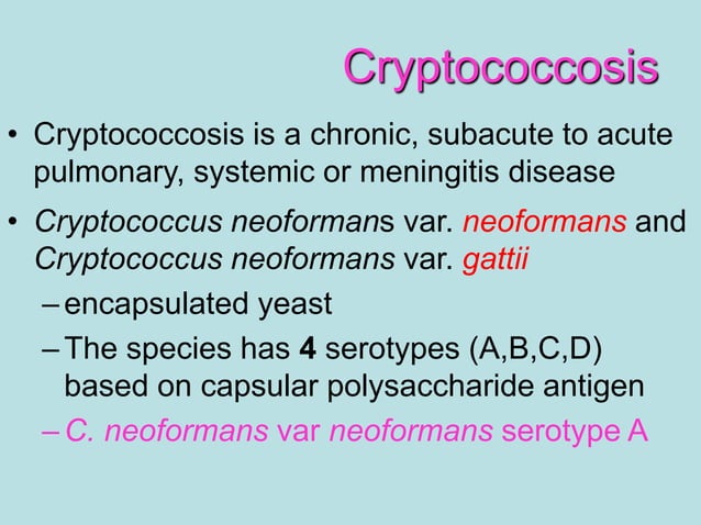 Cryptococcosis | PPT | Infectious Diseases | Diseases and Conditions