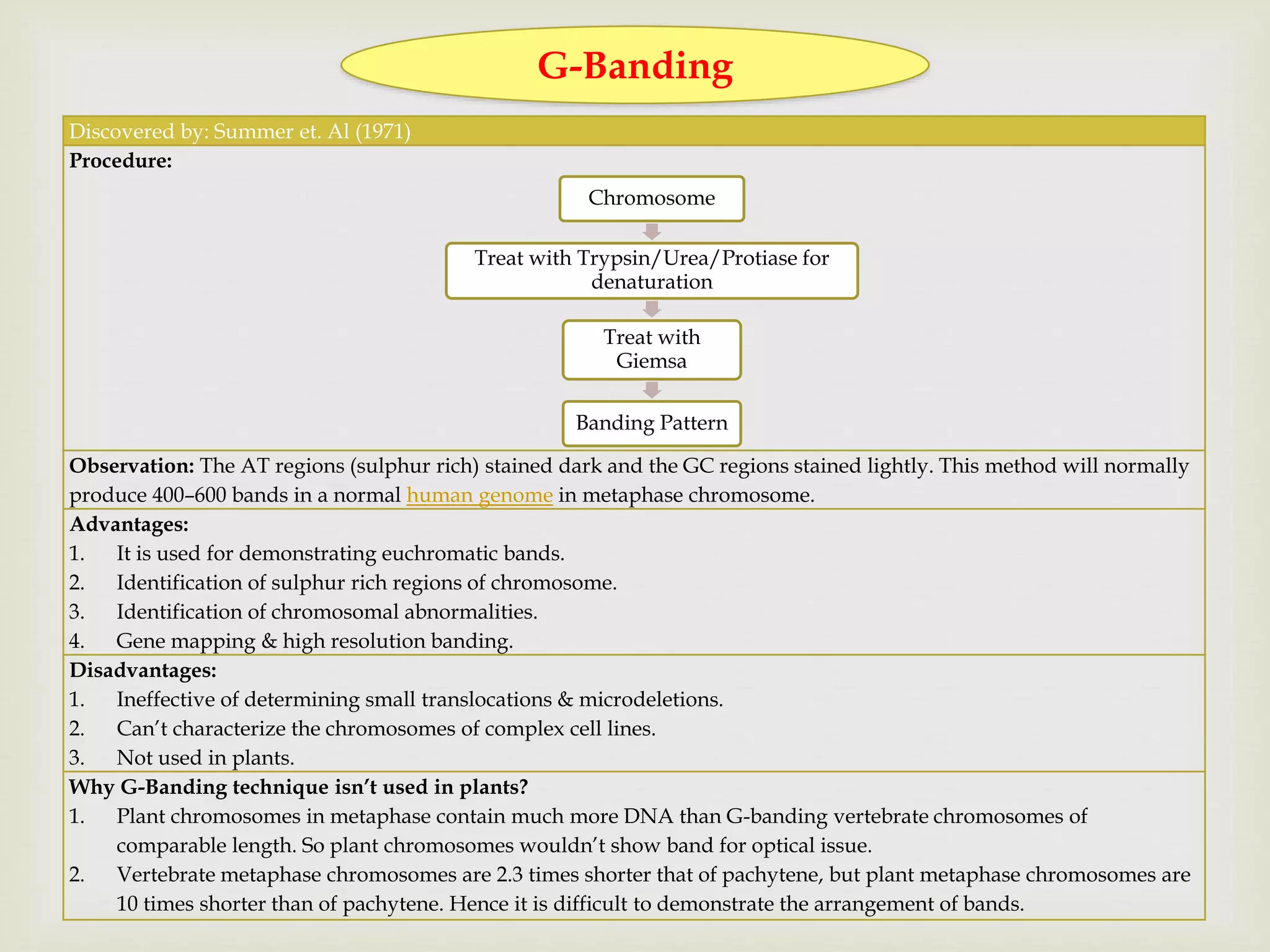 Chromosome - It's Banding & Painting | PPTX