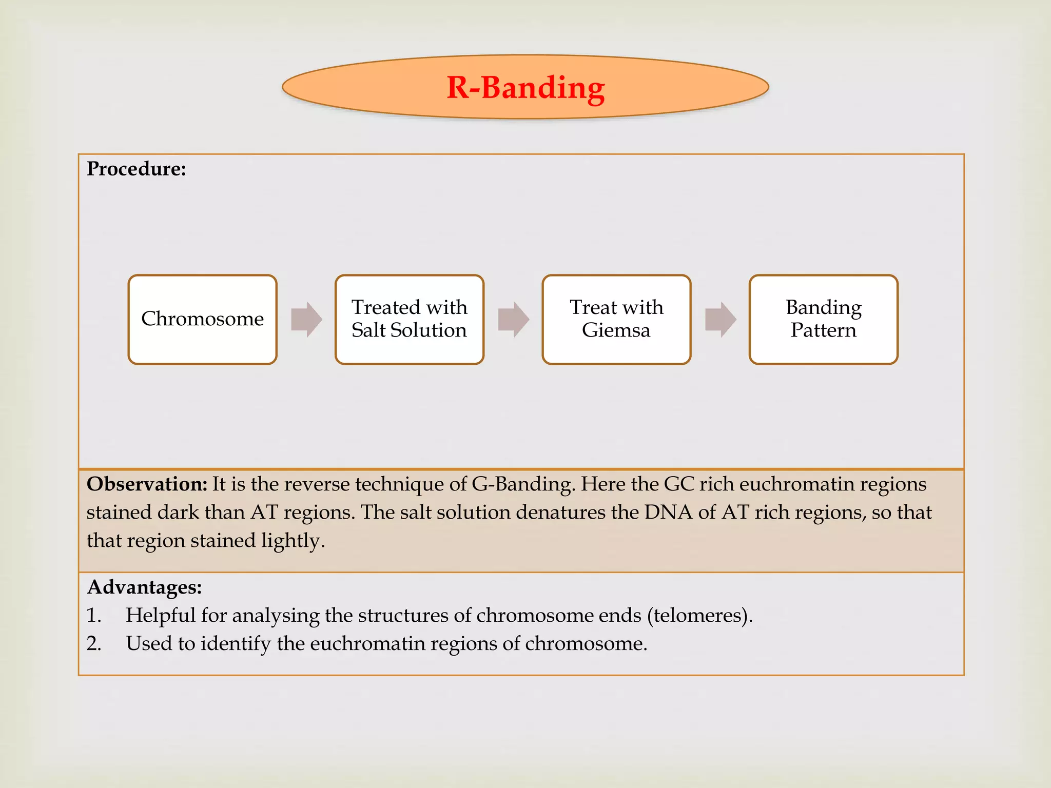 Chromosome - It's Banding & Painting | PPTX