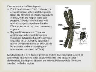Chromosome - It's Banding & Painting | PPTX