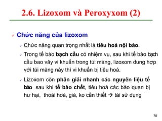 Cấu tạo tế bào của cơ thể - Tế bào, màng sinh chất & các bào quan ...