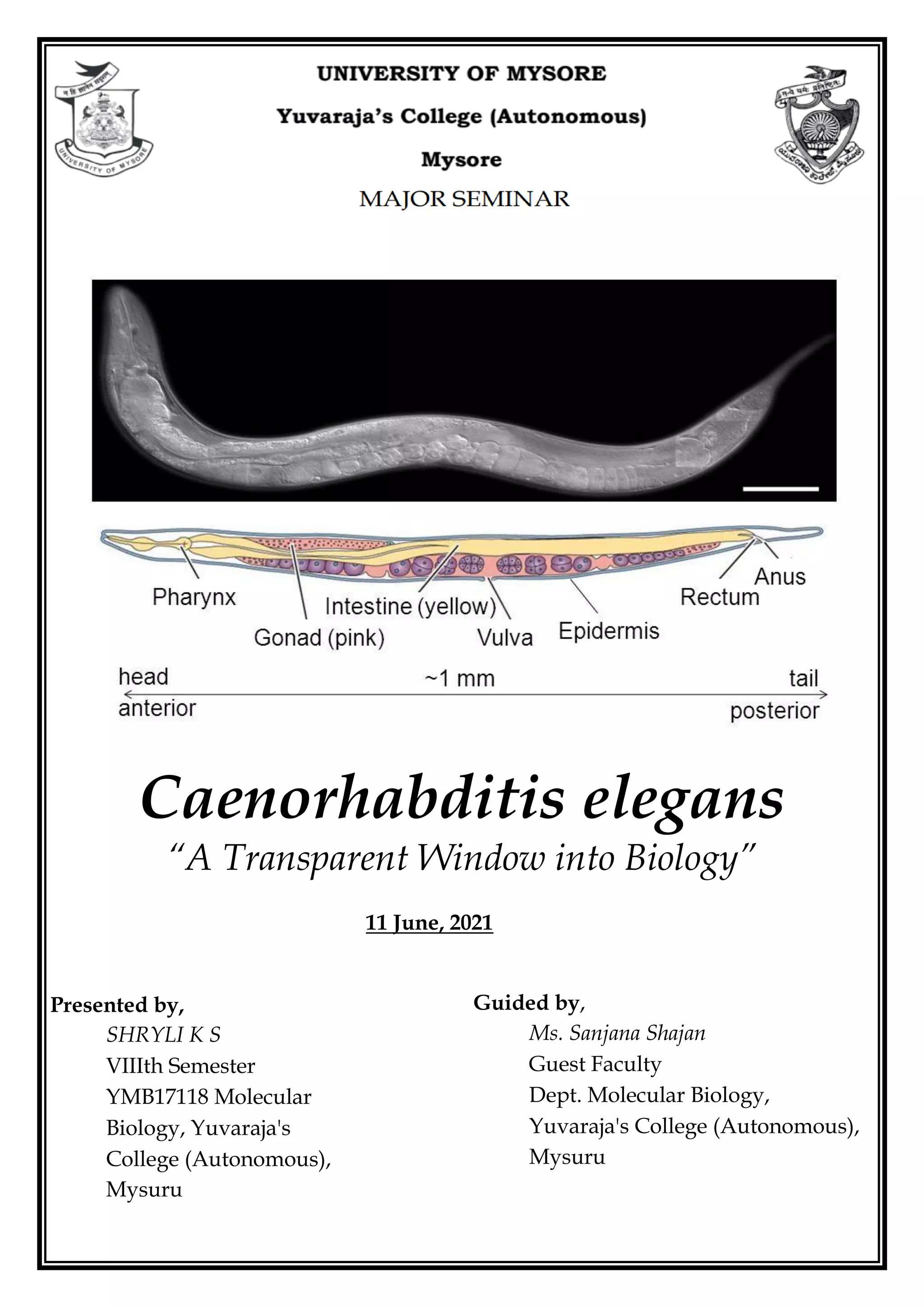 Caenorhabditis elegans | PDF