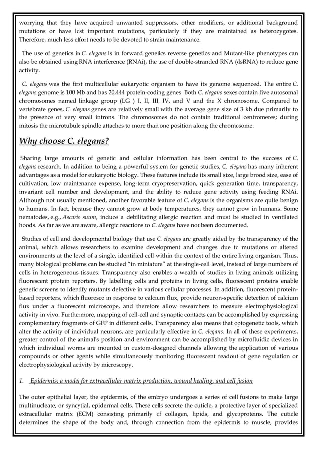 Caenorhabditis elegans | PDF