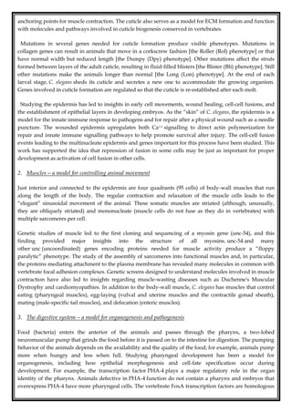 Caenorhabditis elegans | PDF