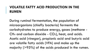 C.H.O Metabolism in Ruminant | PDF