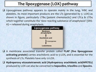 c. Prostaglandins, Thromboxanes and Leukotrienes.pdf