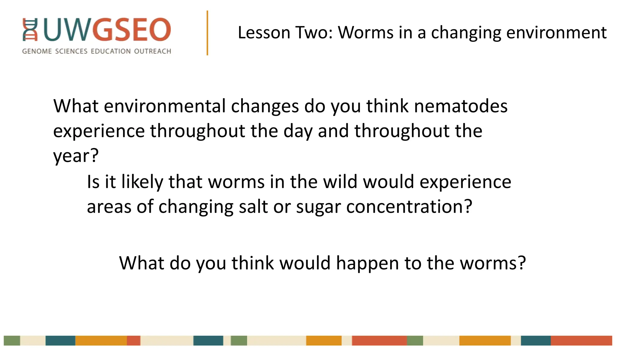 C.elegans as a Model.ppt