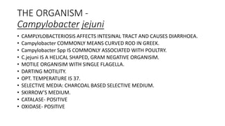 C.JEJUNI.pptx, ZOONOTIC DISEASES, MEDICAL MICROBIOLOGY | PPT