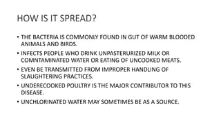 C.JEJUNI.pptx, ZOONOTIC DISEASES, MEDICAL MICROBIOLOGY | PPT