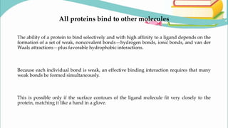 Protein binding sites Lecture physiology | PPTX