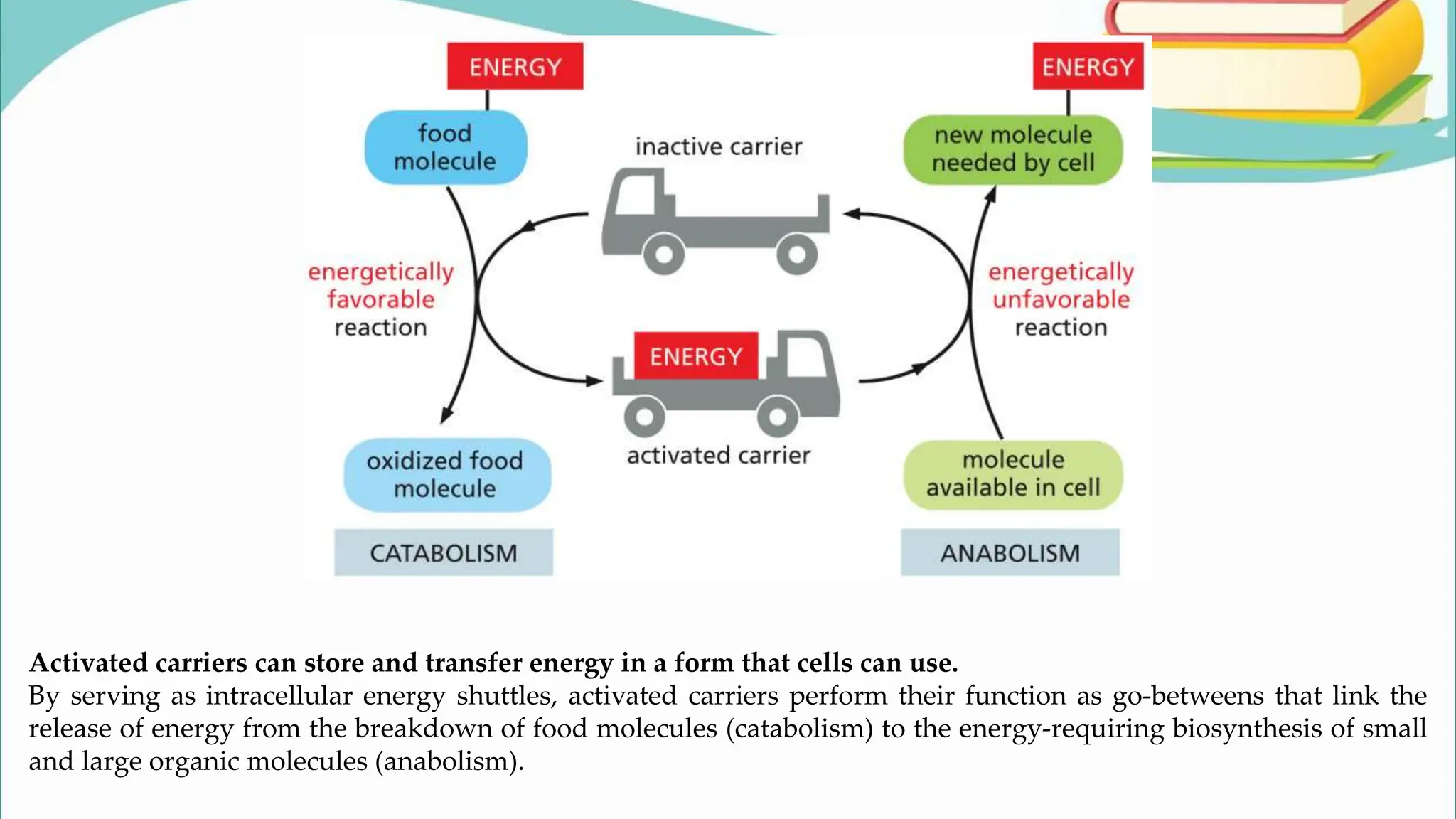 Enzymes mediated chemical reactions.pptx