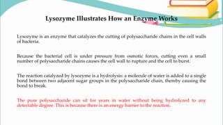 Enzymes mediated chemical reactions.pptx