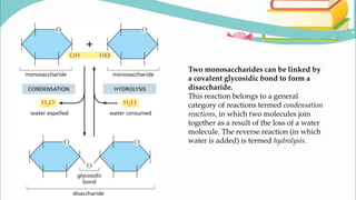 Enzymes mediated chemical reactions.pptx