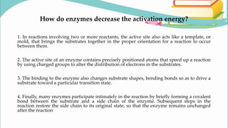 Enzymes mediated chemical reactions.pptx