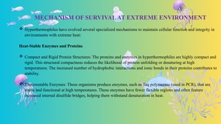Marine extremophilies mechanism of survival at extreme environments ...