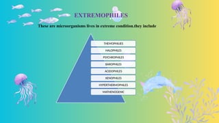 Marine extremophilies mechanism of survival at extreme environments ...