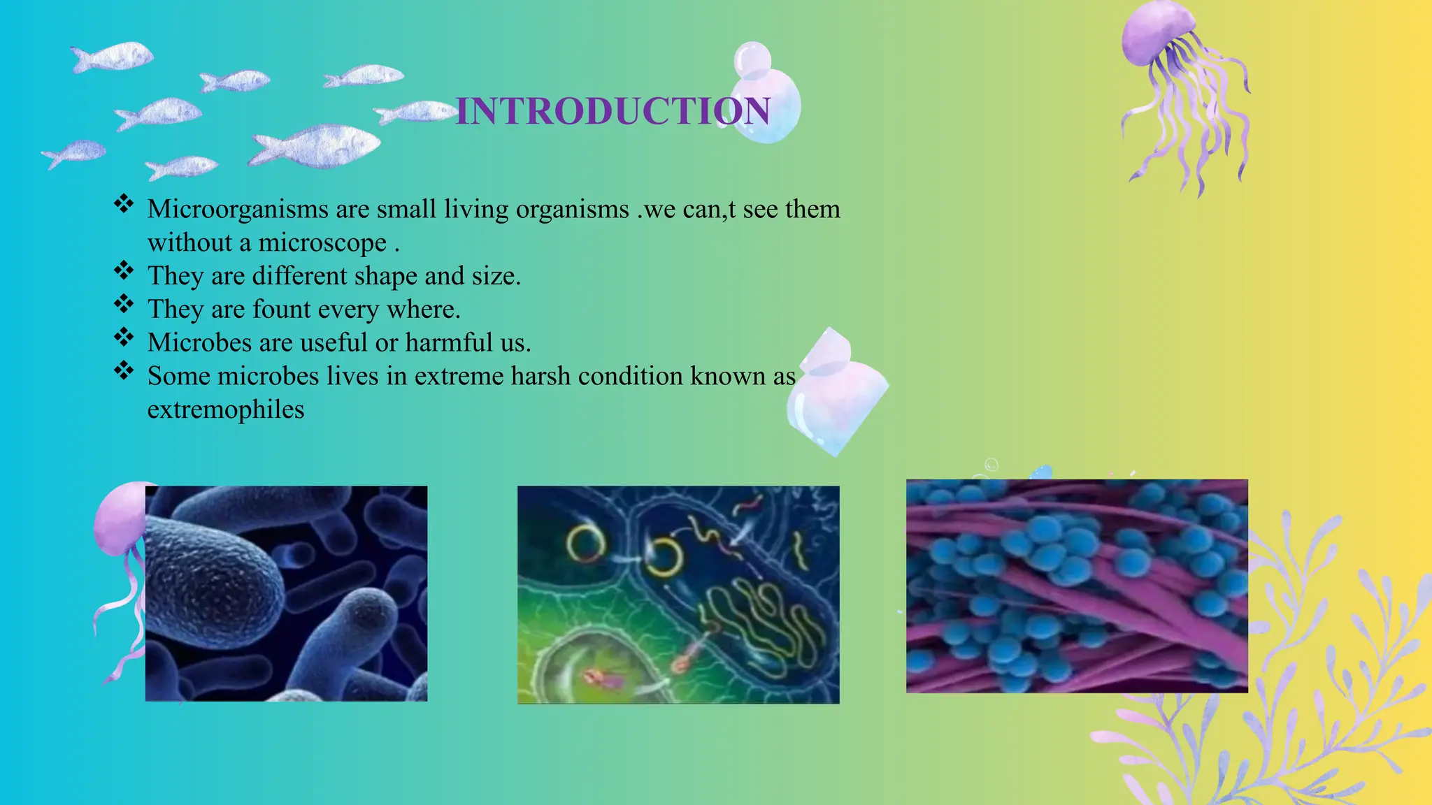 Marine extremophilies, mechanism of survival at extreme environment ...
