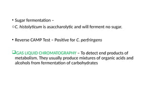 Clostridium perfringens – Pathogenesis, Clinical Features & Diagnosis ...