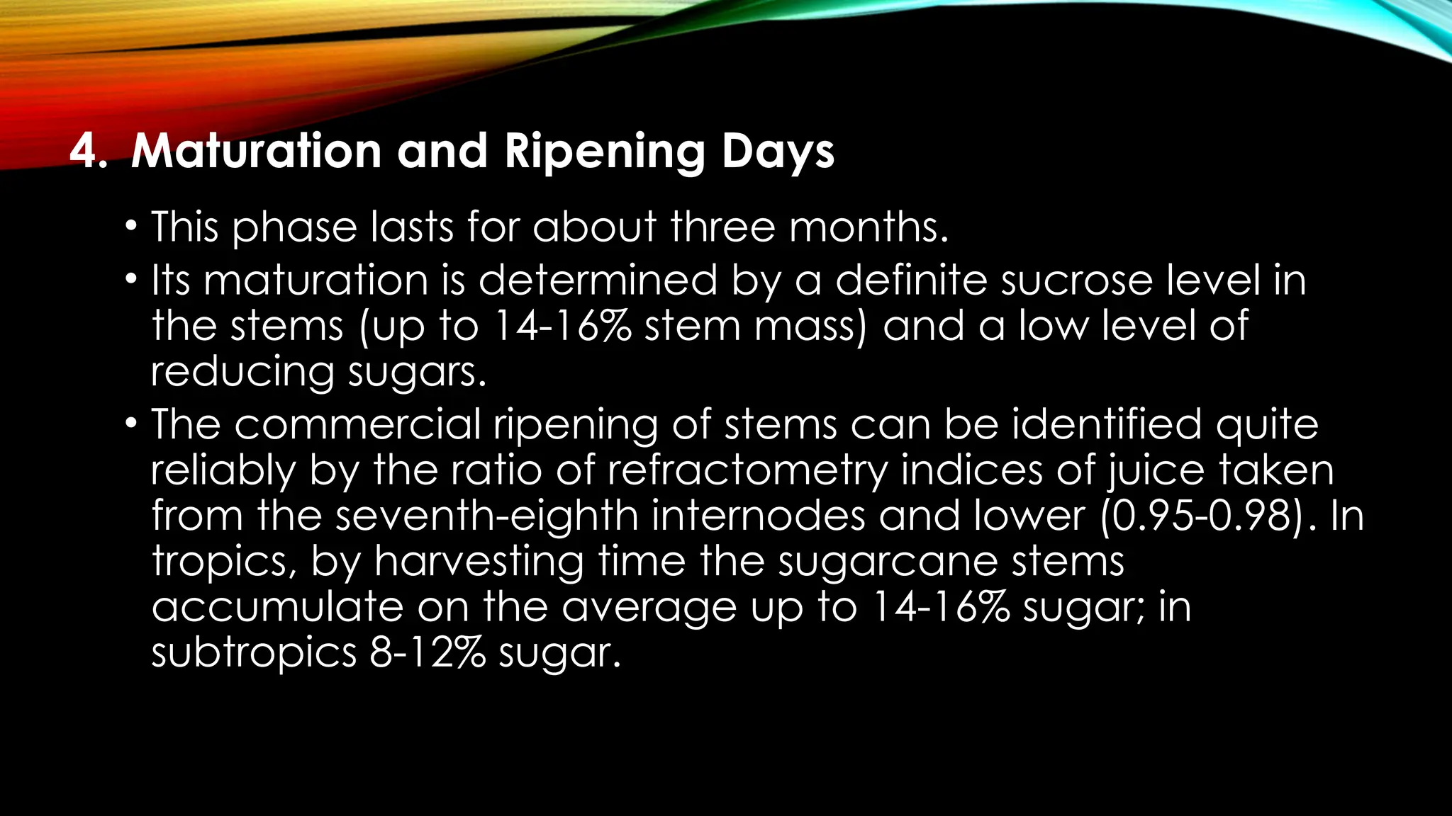 Growth Phases and Stages of Sugarcane.pptx