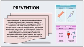 CLOSTRIDIUM TETANI: CAUSATIVE AGENT OF TETANUS | PPTX