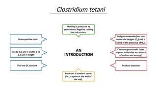 CLOSTRIDIUM TETANI: CAUSATIVE AGENT OF TETANUS | PPTX