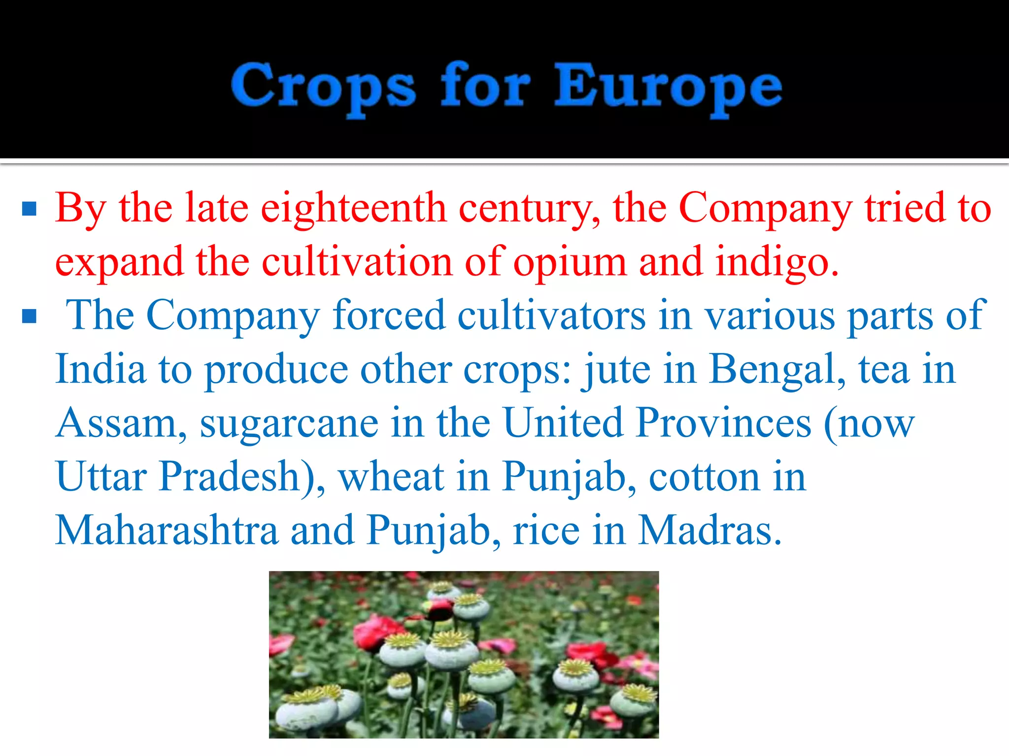 8th std Social Science History Chapter 3- Ruling the Countryside | PPTX