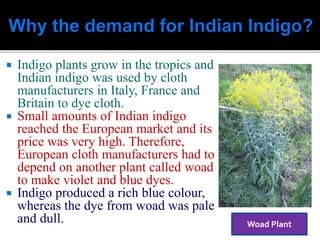 8th std Social Science History Chapter 3- Ruling the Countryside | PPTX