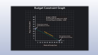 C--- 7 Maximization Subject to Budget Constraints.pptx | Business | Business and Finance