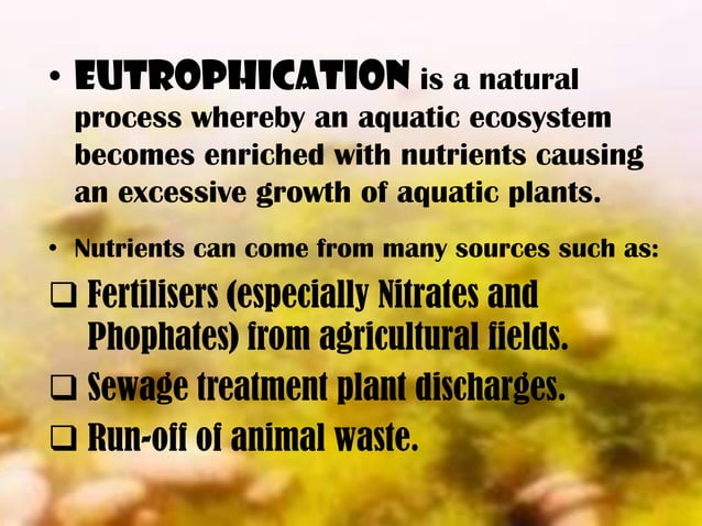 C.9 water pollution n eutrophication | PPTX | Science