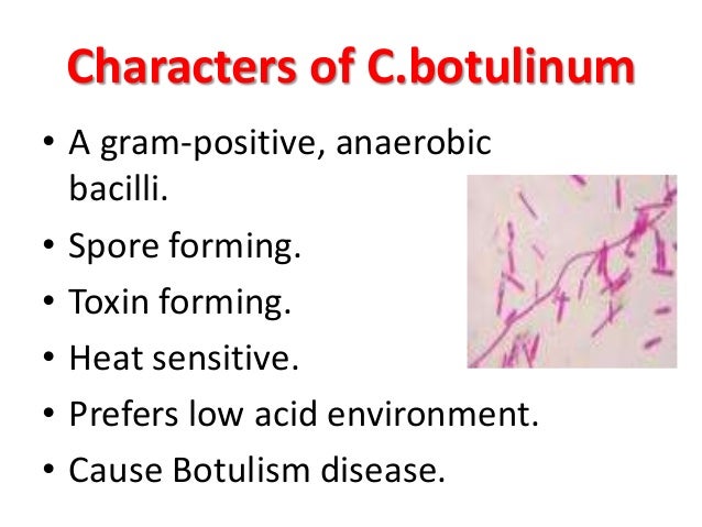 C botulinum-130309211447-phpapp02