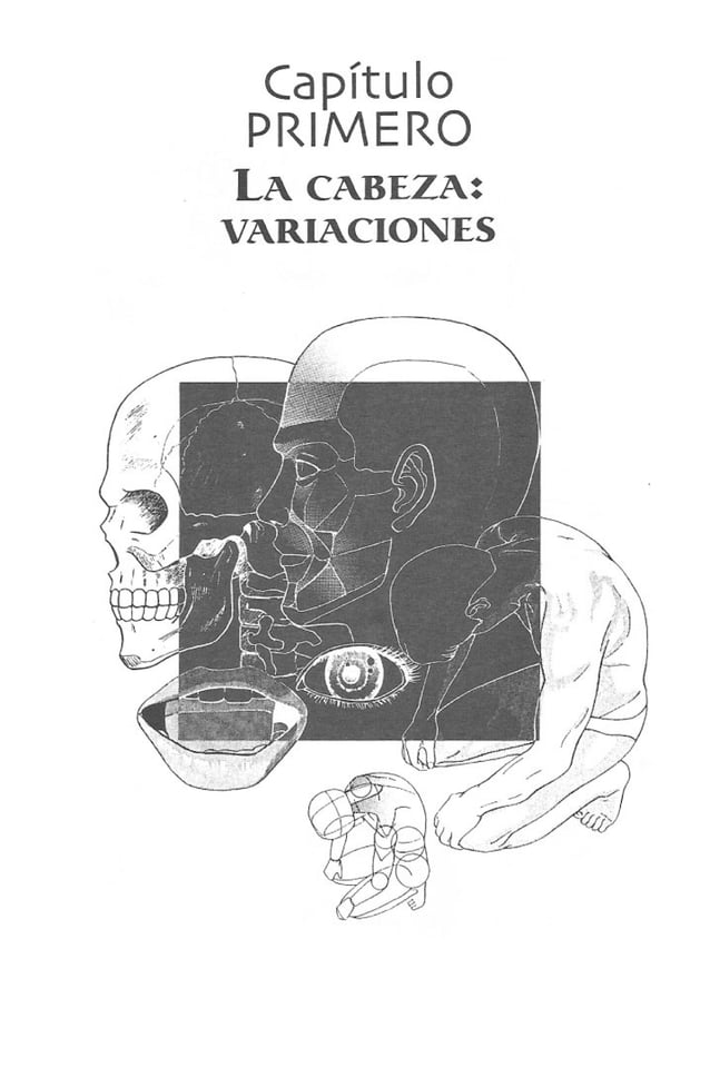 Cómo Dibujar Manga Vol 04 El Cuerpo Humano Pdf