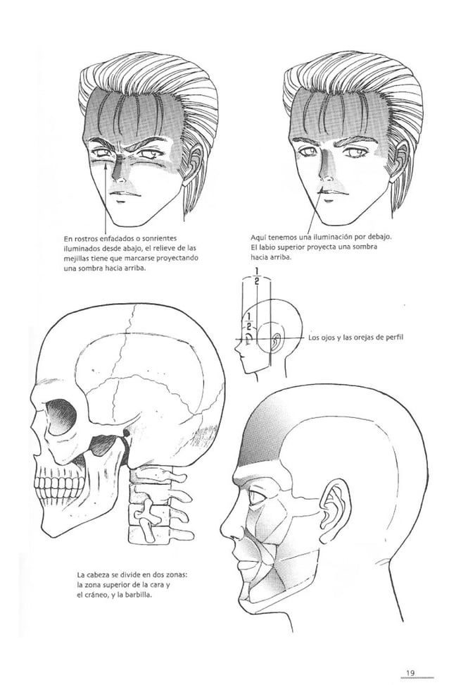 Cómo Dibujar Manga Vol 04 El Cuerpo Humano Pdf