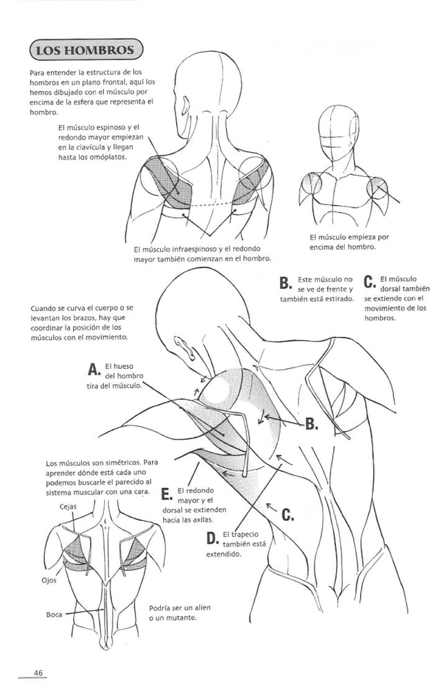 Cómo Dibujar Manga Vol 04 El Cuerpo Humano Pdf