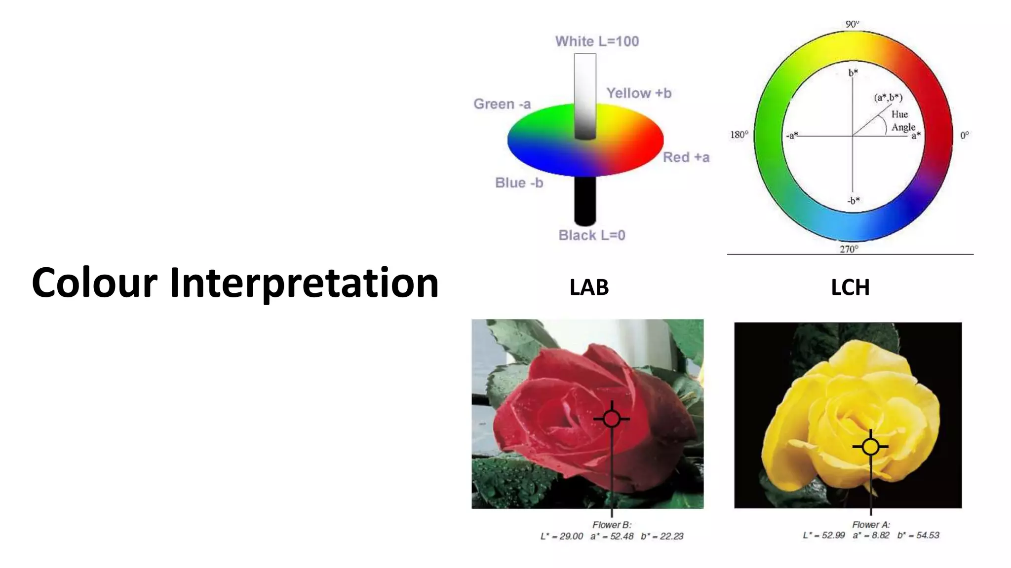 Natural colours - C-Capture | PPT