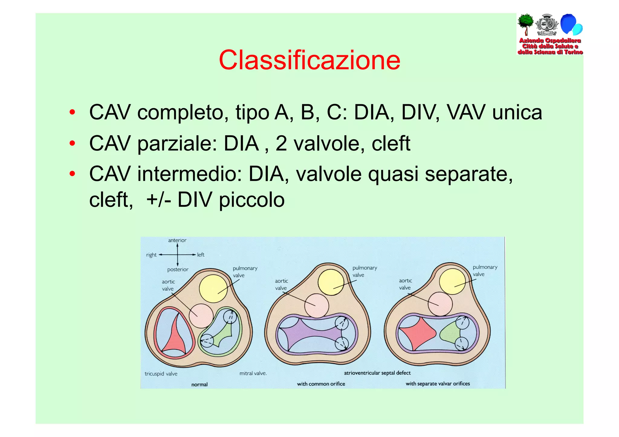 c: CAV. Corso: Le immagini del cuore | PDF