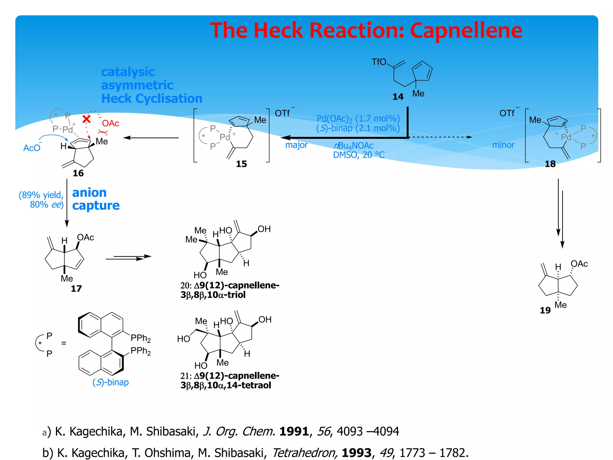 C-C Cross Coupling Reactions in Organic chemistry by Anthony crasto | PPTX