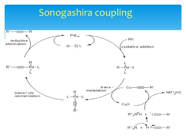 C-C Cross Coupling Reactions in Organic chemistry by Anthony crasto