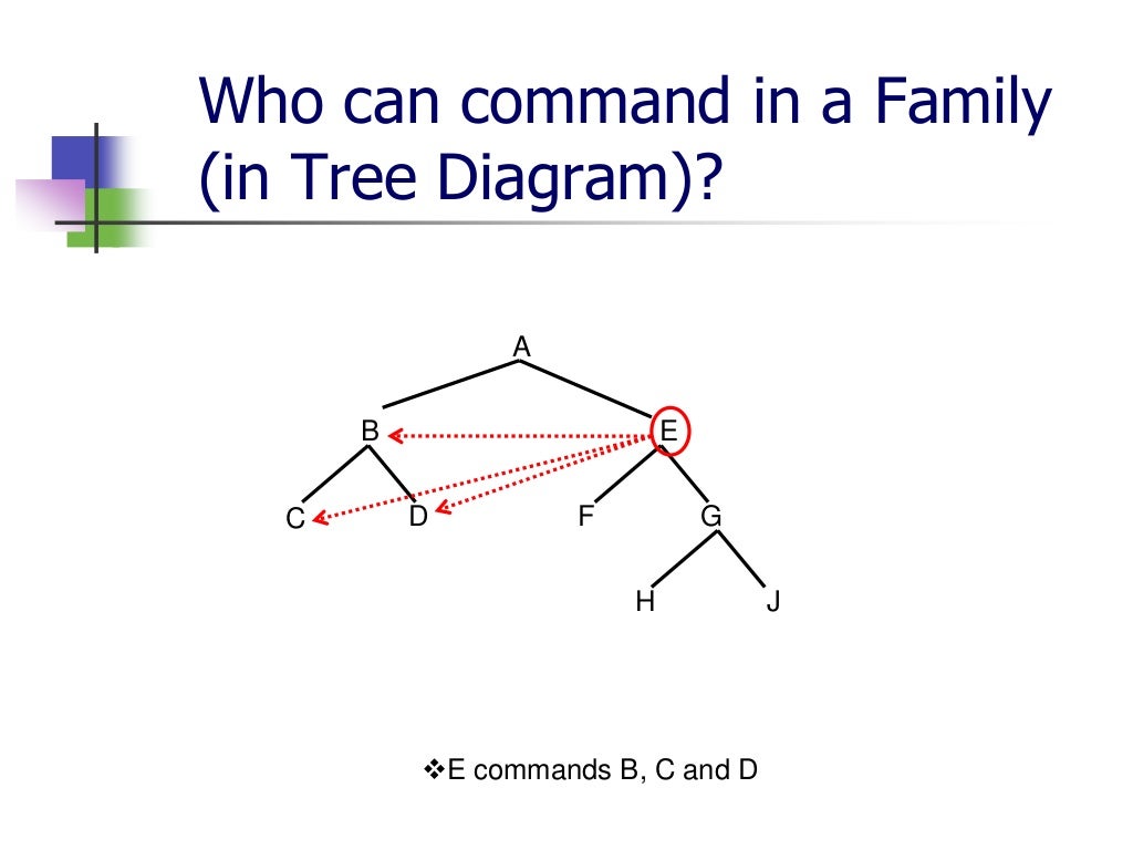 C Command c-command